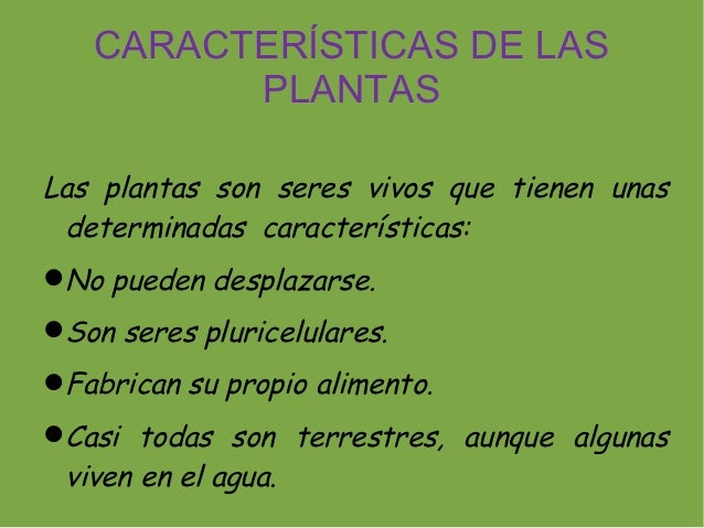 Tema 4 Las Plantas