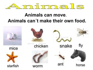 Tema 4 living things | PPT