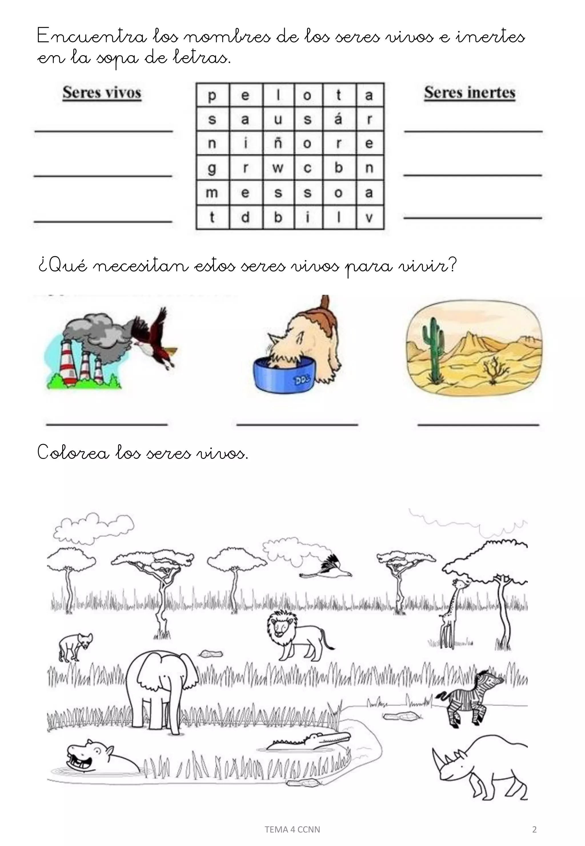 Tema 4 los seres vivos y las plantas | PDF