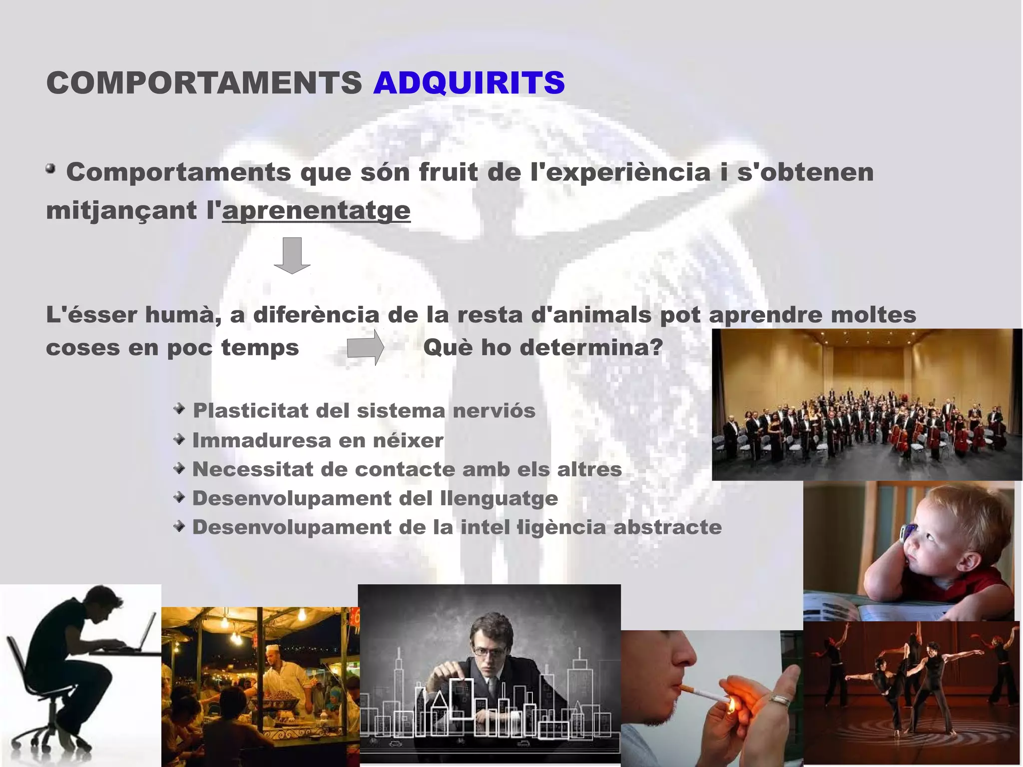 Tema 4 L'ésser humà, entre la naturalesa i la cultura | ODP