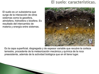 CTMA Tema 4. Recursos de la biosfera. | PPTX