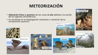 Tema 4 Rocas sedimentarias, características y clasificación | PDF