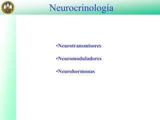 Sistema Nervioso_Neurona: tema_4_sinapsis.ppt