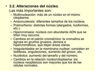 Tema 5. Citología Ginecológica | PPTX