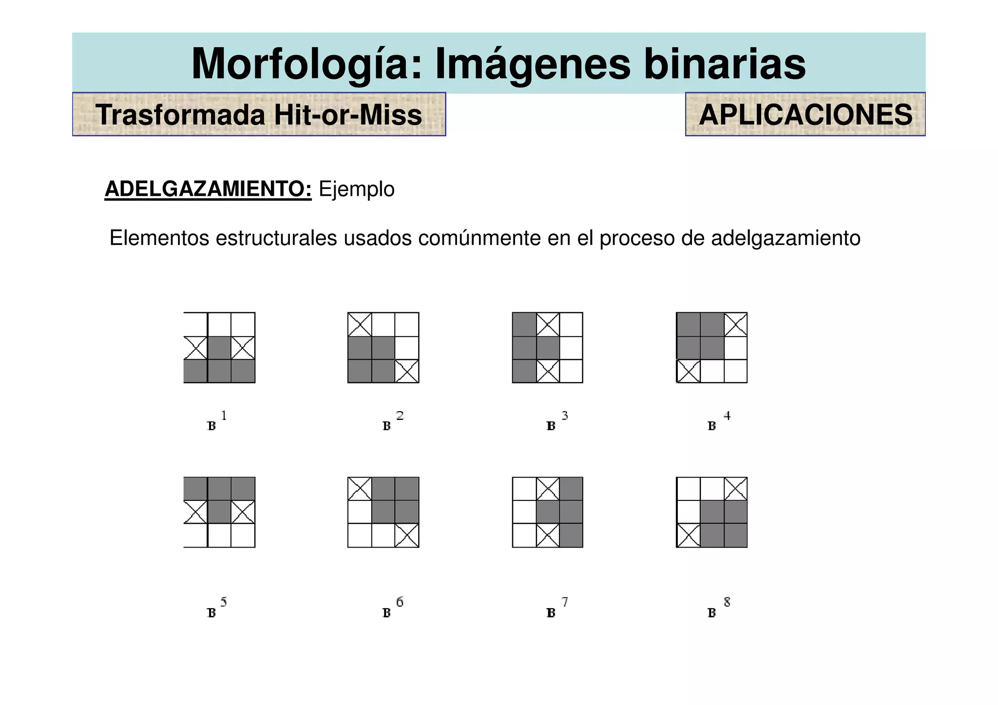 tema5-1 transformaciones morfologicas.pdf