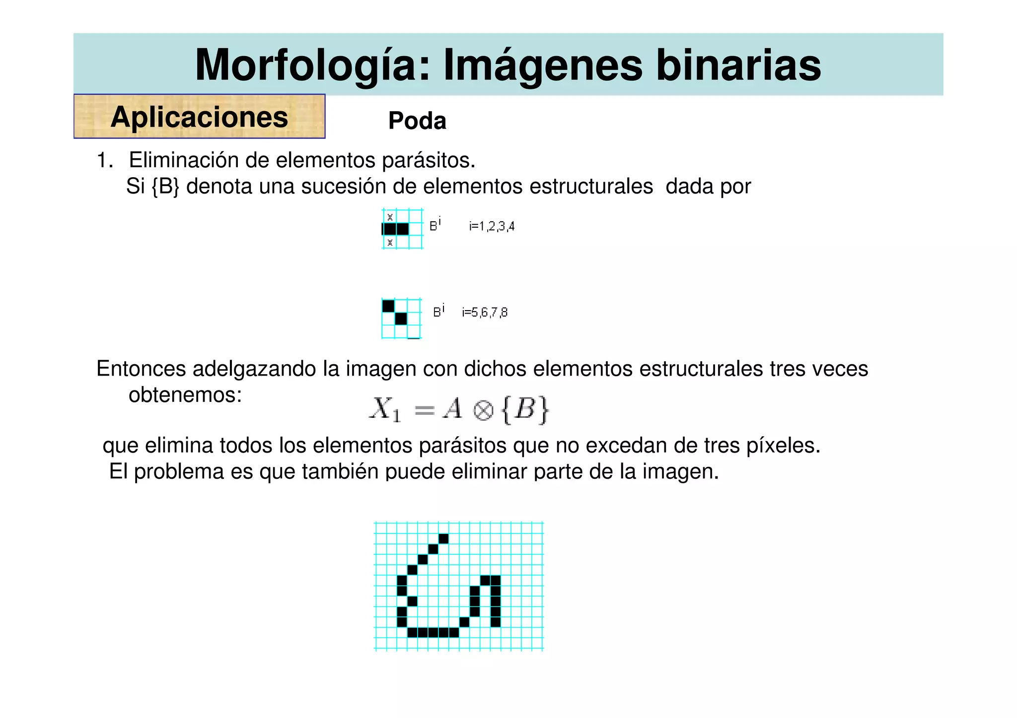tema5-1 transformaciones morfologicas.pdf