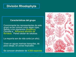 Tema 5. Las algas macroscópicas.ppt