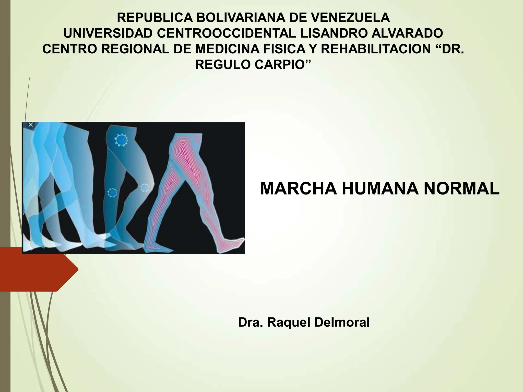 Marcha Humana Normal para pacientes con patologia de miembros ...