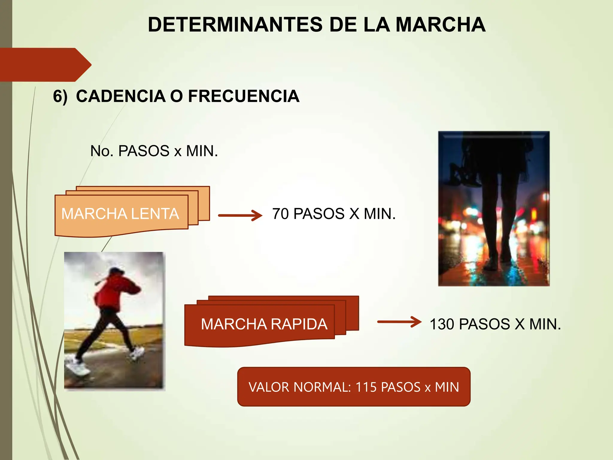Marcha Humana Normal para pacientes con patologia de miembros ...