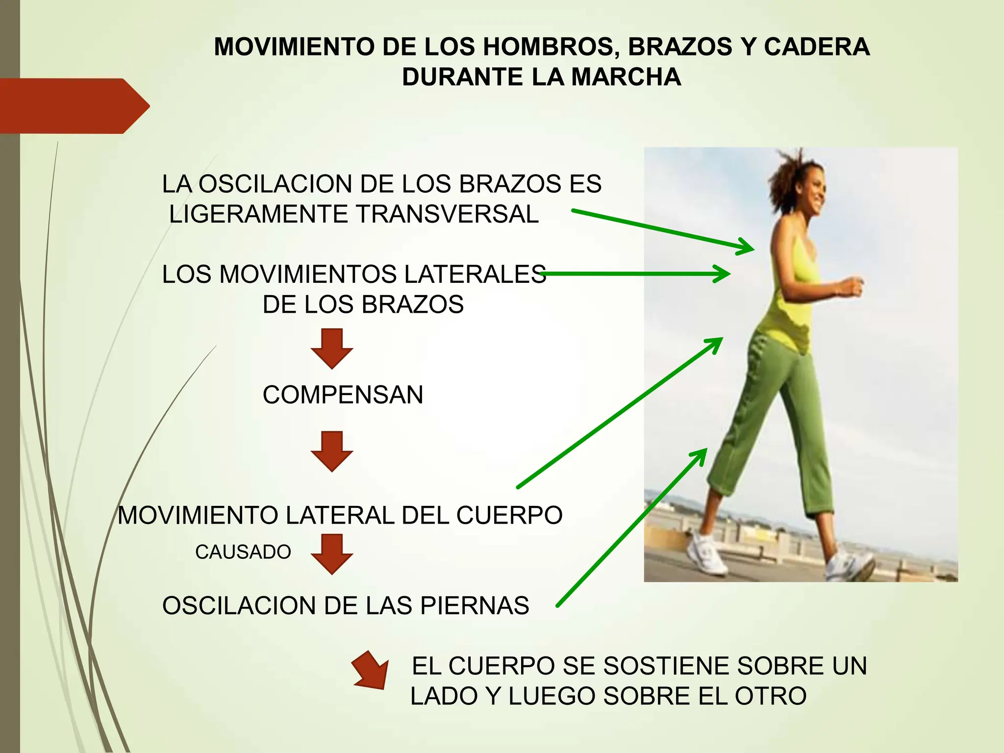 Marcha Humana Normal para pacientes con patologia de miembros ...