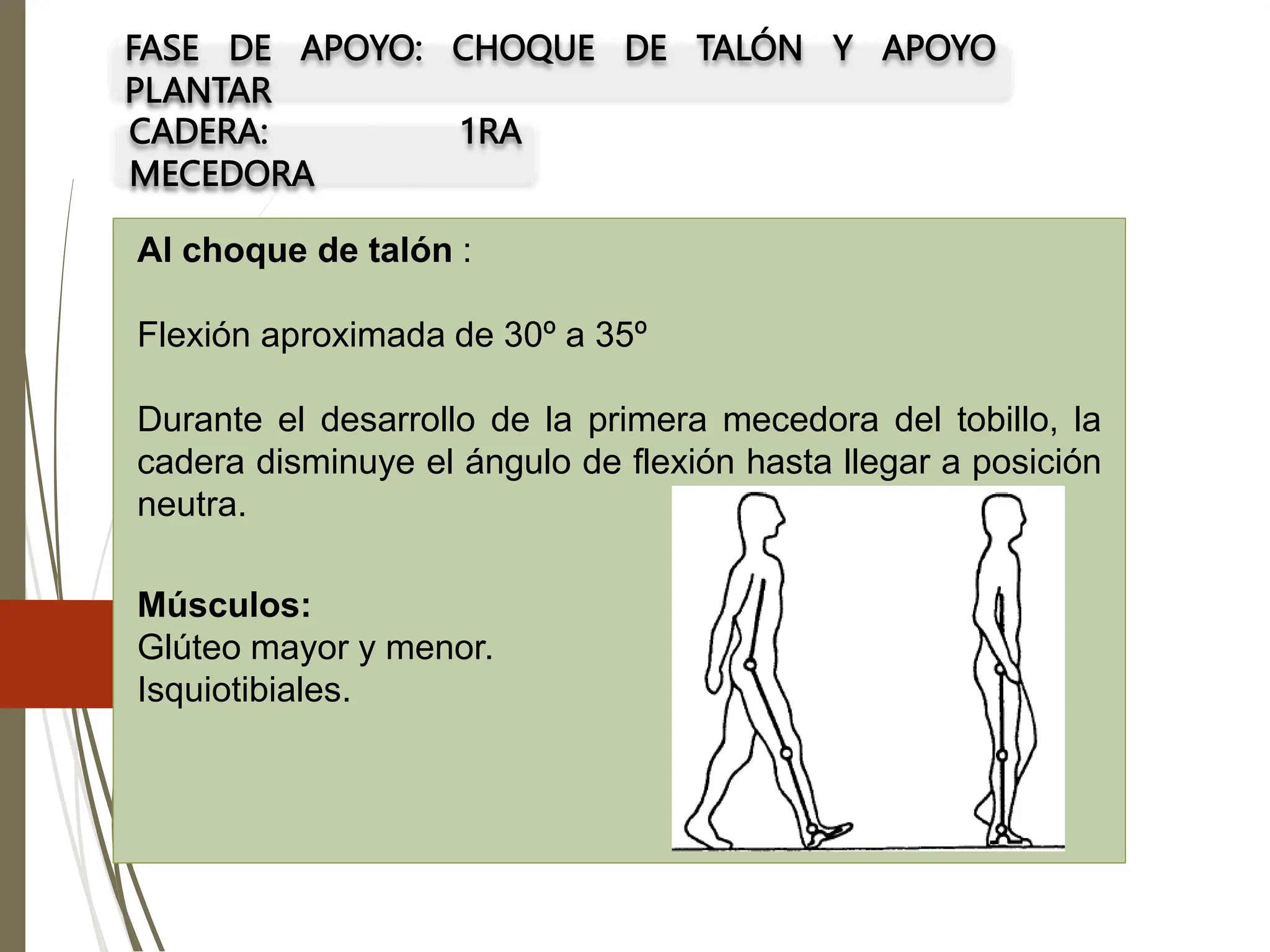 Marcha Humana Normal para pacientes con patologia de miembros ...