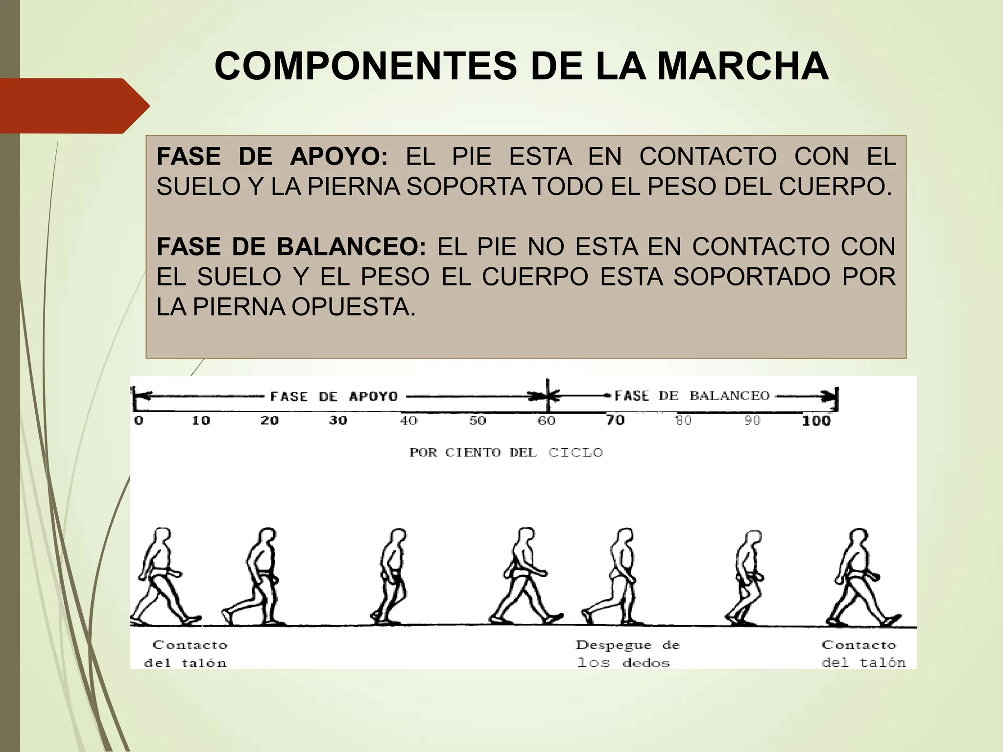 Marcha Humana Normal para pacientes con patologia de miembros ...