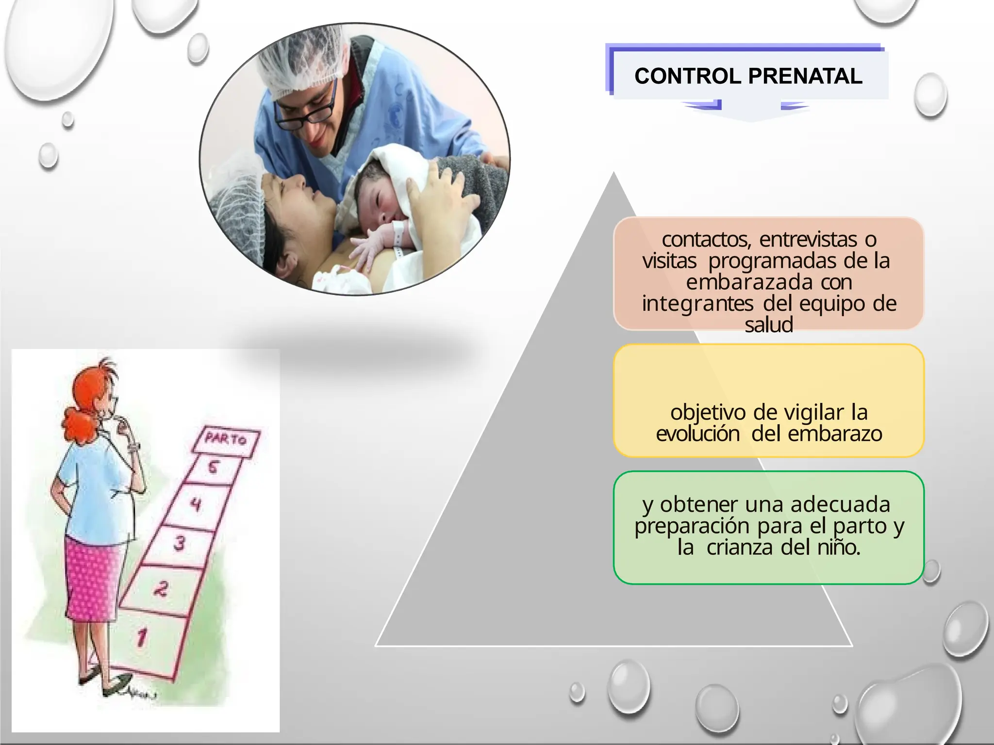 TEMA 5.1 CONTRL PRENATAL.pptxEl control prenatal, también conocido como ...