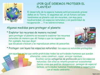 Tema 5 el ser humano en los ecosistemas | PPT