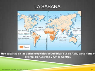 Tema 5 mn- Los paisajes de la tierra | PPTX