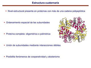 Tema 5 proteinas estructura 4a hemoglobina farmacia | PDF