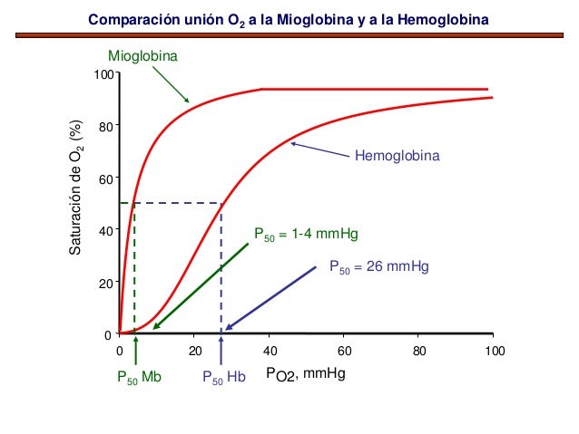 Tema 5 proteinas estructura 4a hemoglobina farmacia