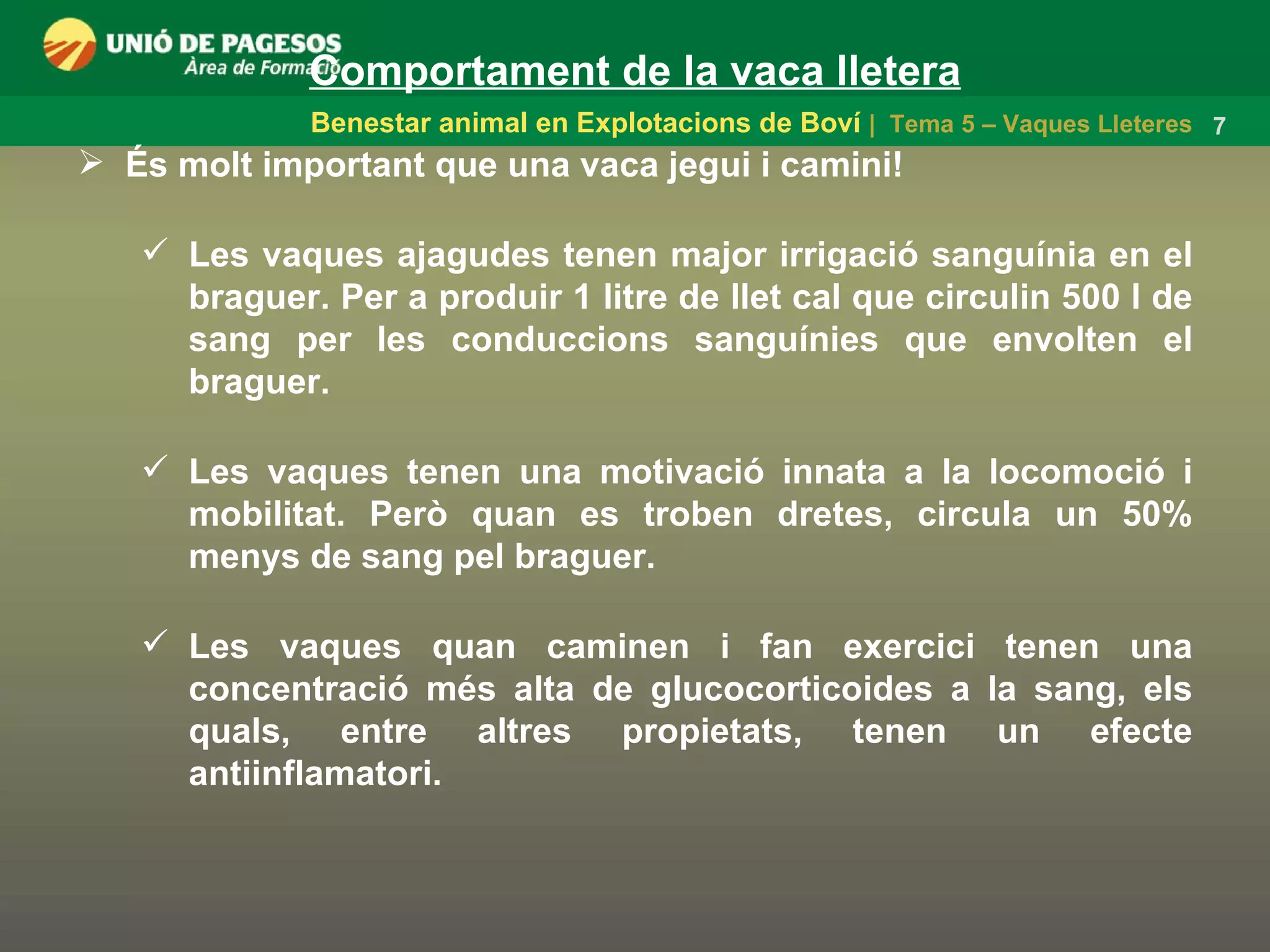 Tema 5 - Vaques lleteres | PPT