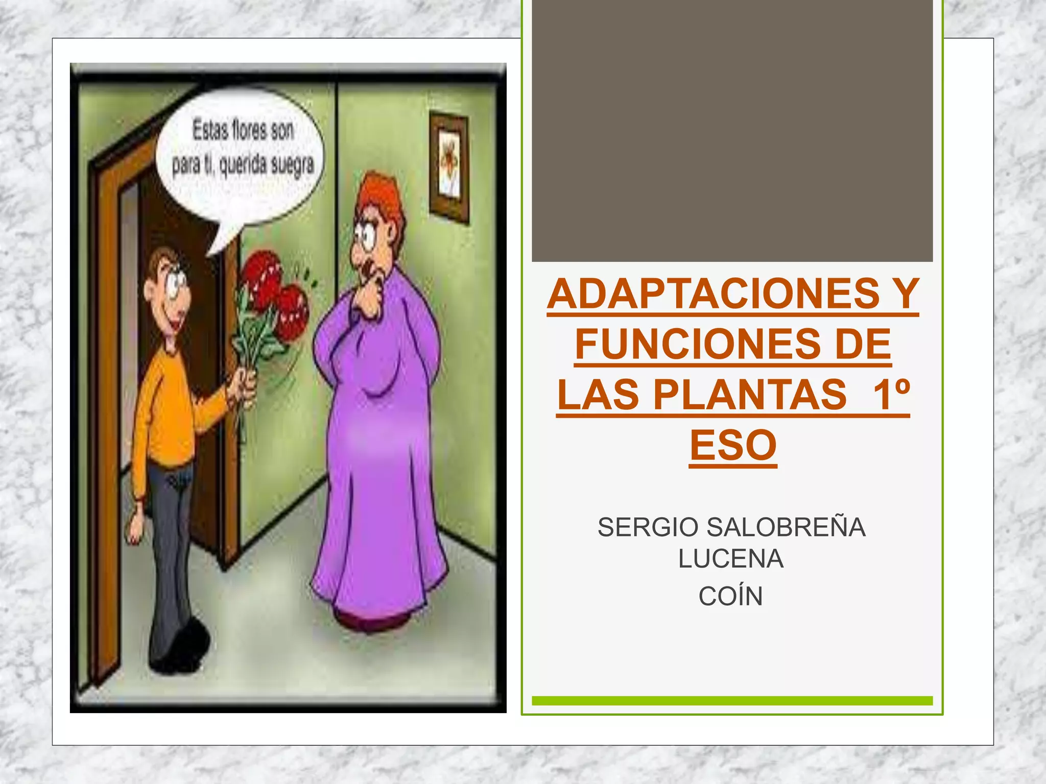 Tema 5 adaptaciones y funciones de las plantas | PPTX