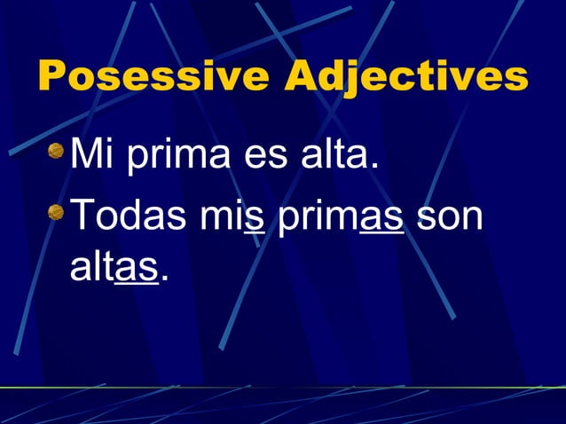TEMA 5A Possessive Adjectives | PPT