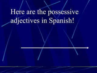 TEMA 5A Possessive Adjectives | PPT