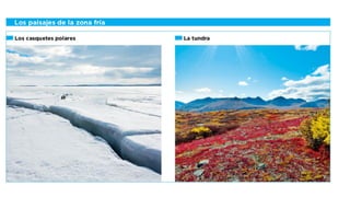 Tema 5 bioclimas de la tierra (ii) | PDF