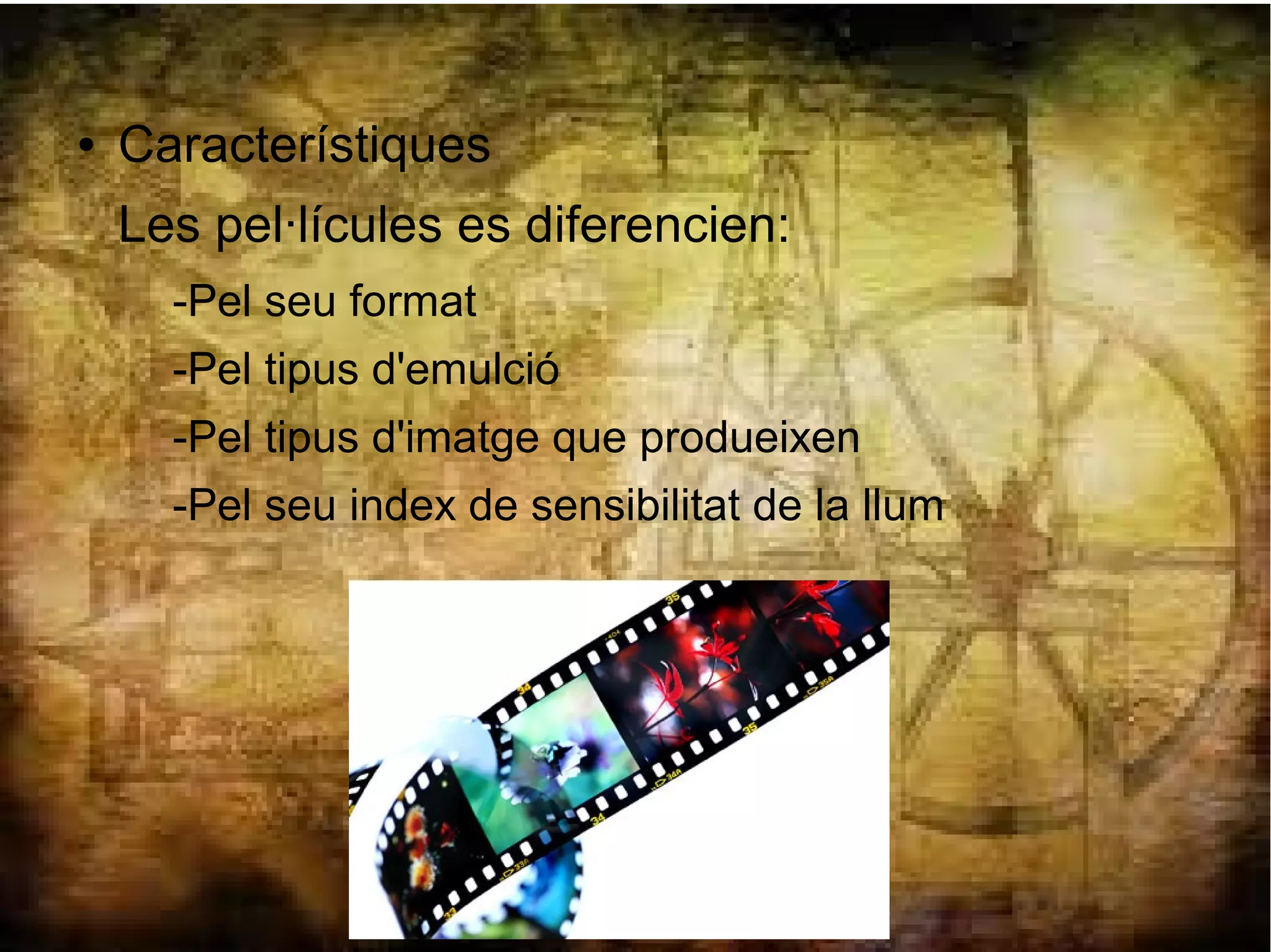 tema 5 La càmera (1) | ODP