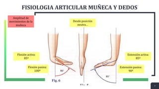 TEMA 5 FISIOLOGIA ARTICULAR MUÑECA Y DEDOS.pdf