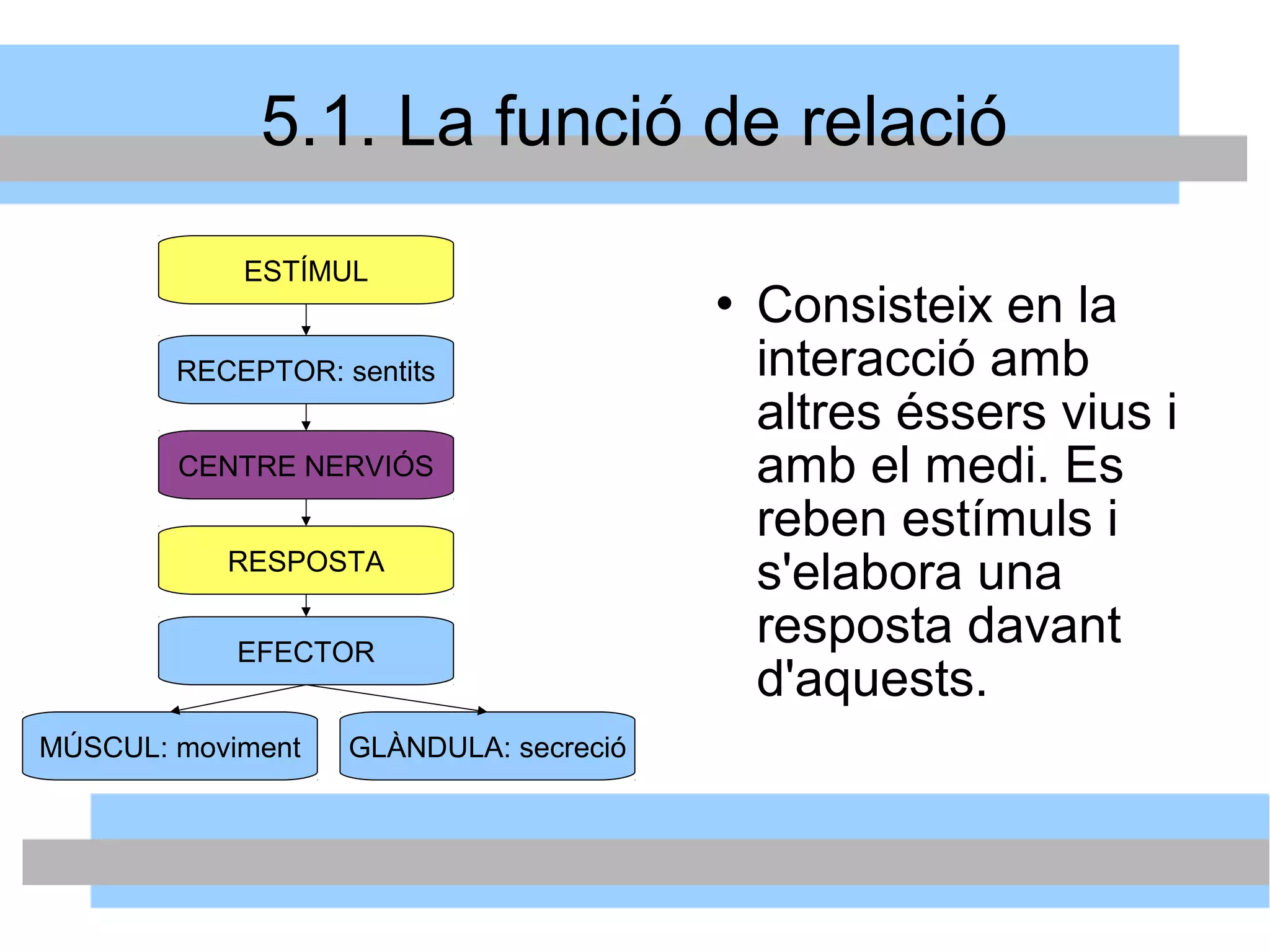 Tema 5 funció de relació web | PPT