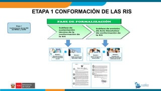 Tema 5 Implementación de la RIS Etapas y fases.pdf