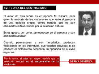 Tema 5 la evolucion de los seres vivos | PDF