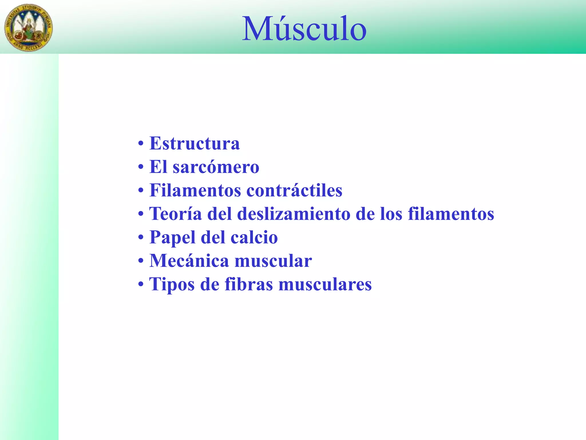 musculo | PPT