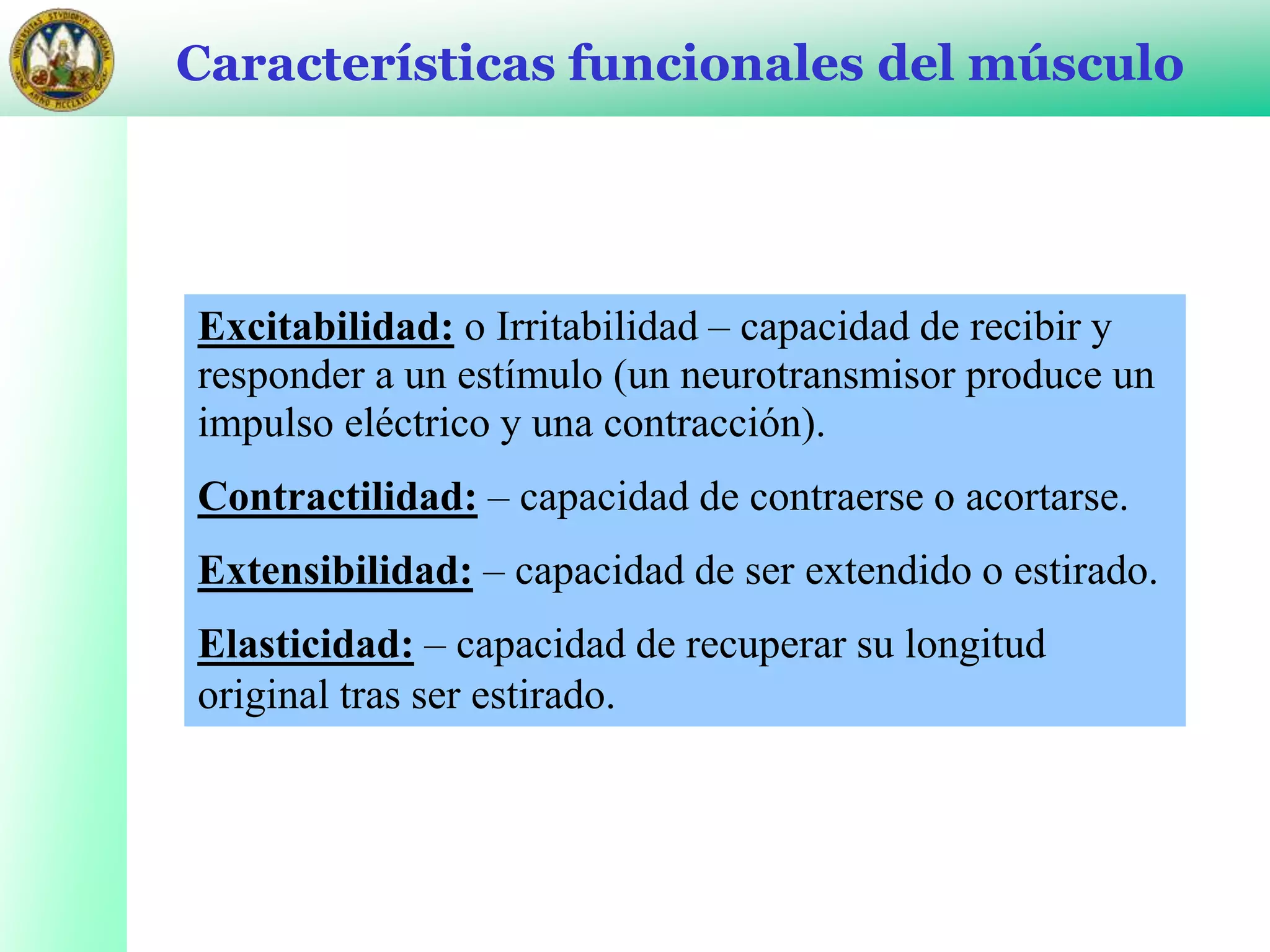 tema_5_musculo.ppt | Bodybuilding | Sports