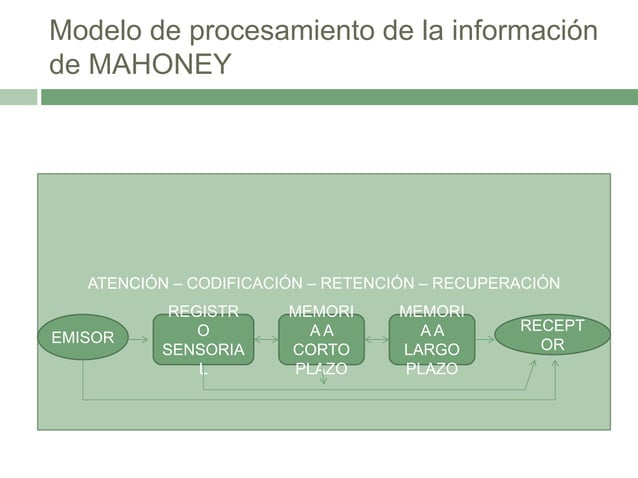 Tema 5 procesamiento de la informacion | PPT