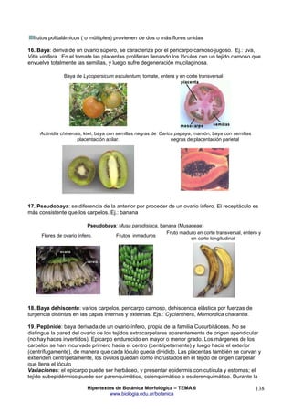 Tema6-Fruto - Hipertextos de Botánica Morfológica www.biologia.edu.ar