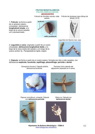 Tema6-Fruto - Hipertextos de Botánica Morfológica www.biologia.edu.ar