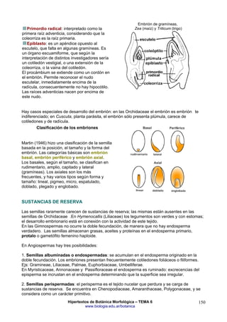MORFOLOGIA DE LAS PLANTAS VASCULARES | PDF