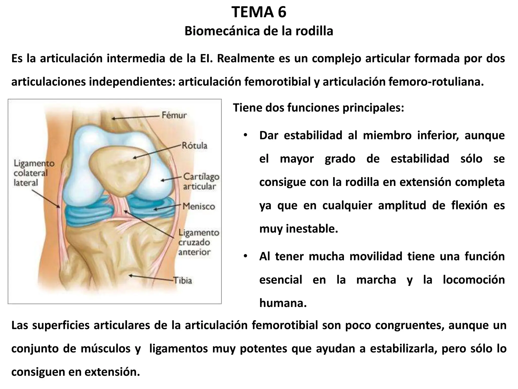Biomecánica de la articulación de la rodilla | PPTX