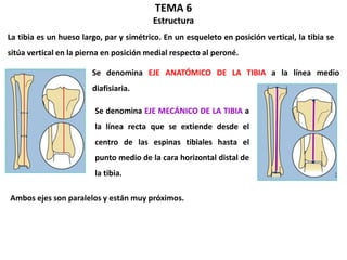 Biomecánica de la articulación de la rodilla | PPTX