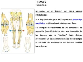 Biomecánica de la articulación de la rodilla | PPTX