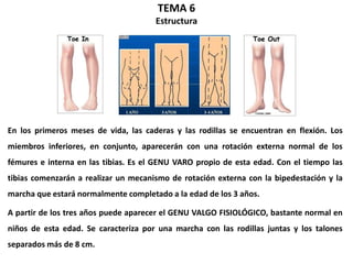 Biomecánica de la articulación de la rodilla | PPTX
