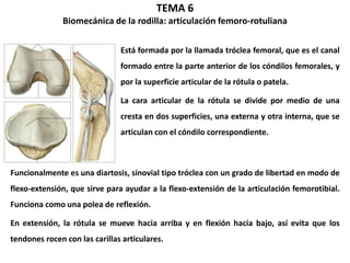 Biomecánica de la articulación de la rodilla | PPTX
