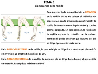 Biomecánica de la articulación de la rodilla | PPTX