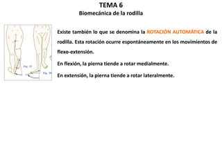 Biomecánica de la articulación de la rodilla | PPTX