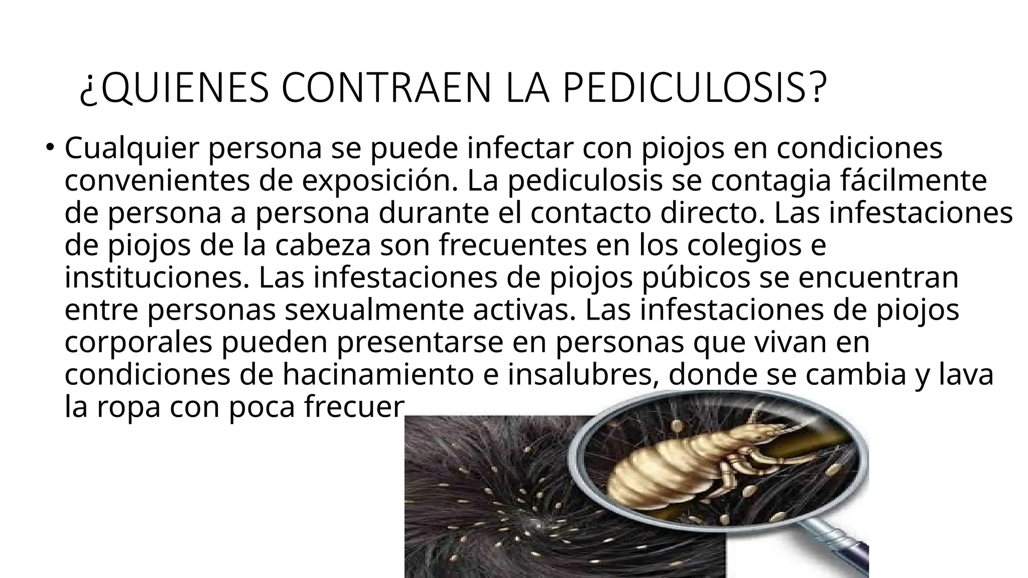 Tema 6. Pediculosis, todo sobre pediculosispptx | PPTX