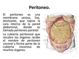 Tema 6- Abdomen.pptx