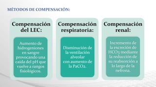 Tema 6 mecanismos de compensación ácido-base | PPTX