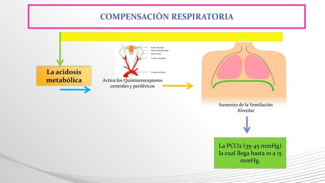 Tema 6 mecanismos de compensación ácido-base | PPTX