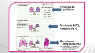 Tema 6 mecanismos de compensación ácido-base | PPTX