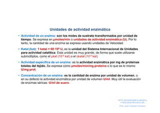Tema 6 cinética enzimática y regulación | PDF